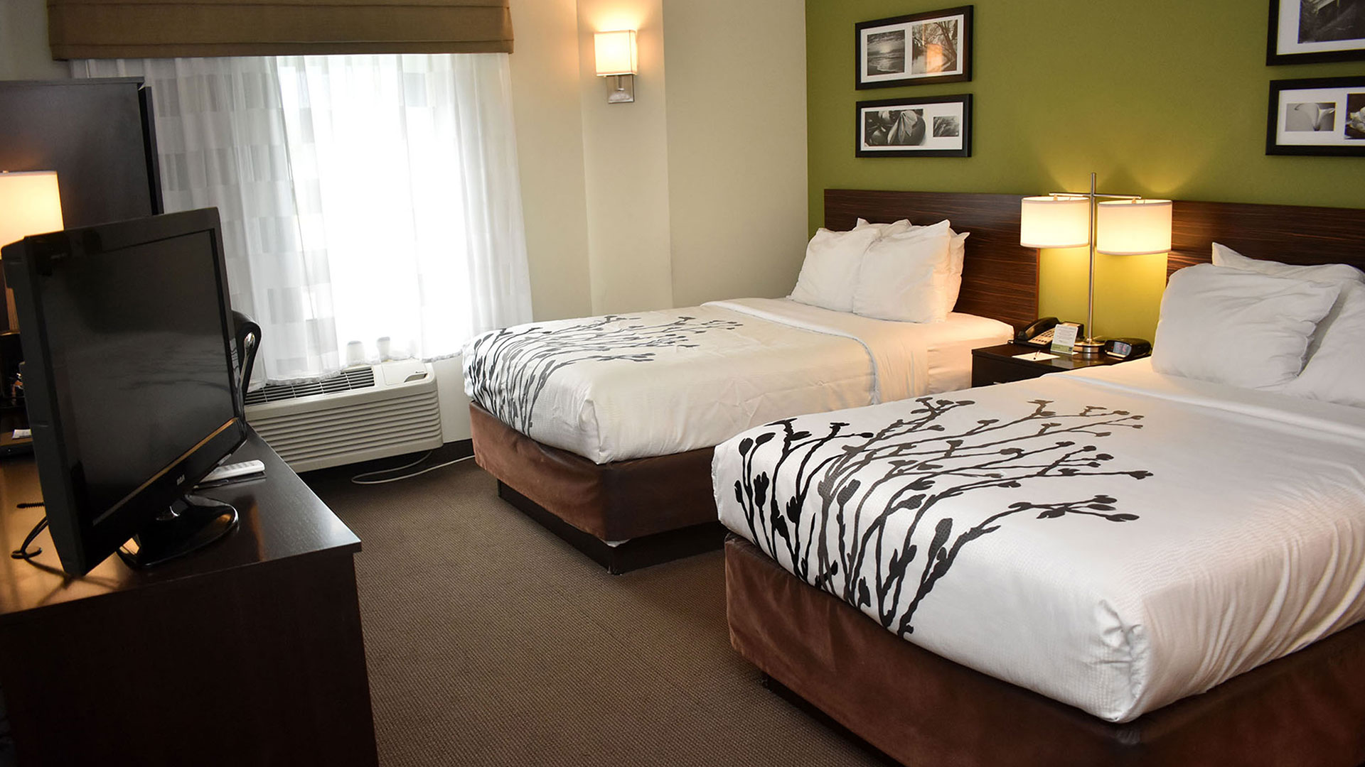 Rooms | Comfortable Hotels in Salisbury | Wingate